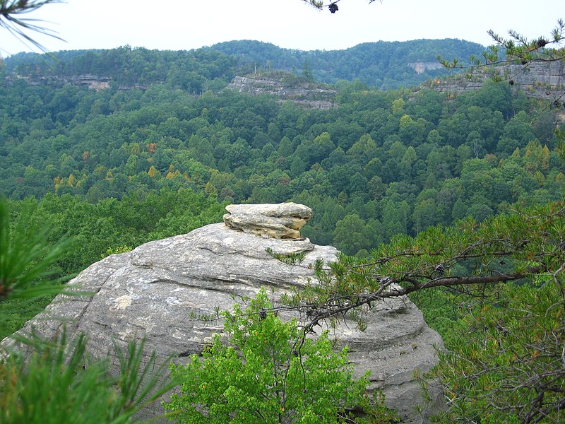 Discover the Thrilling Adventure and Natural Beauty of Red River Gorge ...