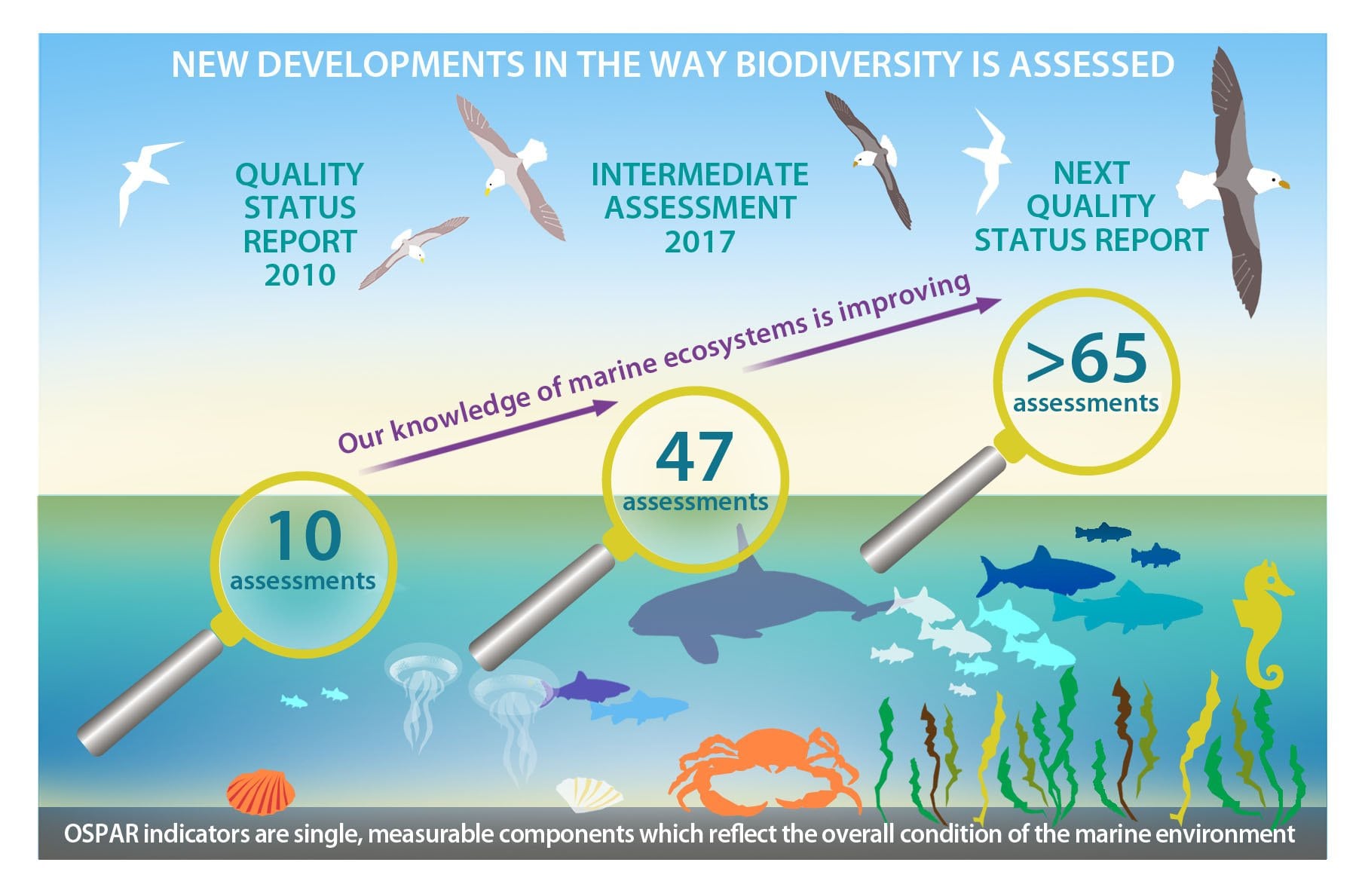 15 Strategies to Protect Marine Biodiversity: A Global Call to Action ...
